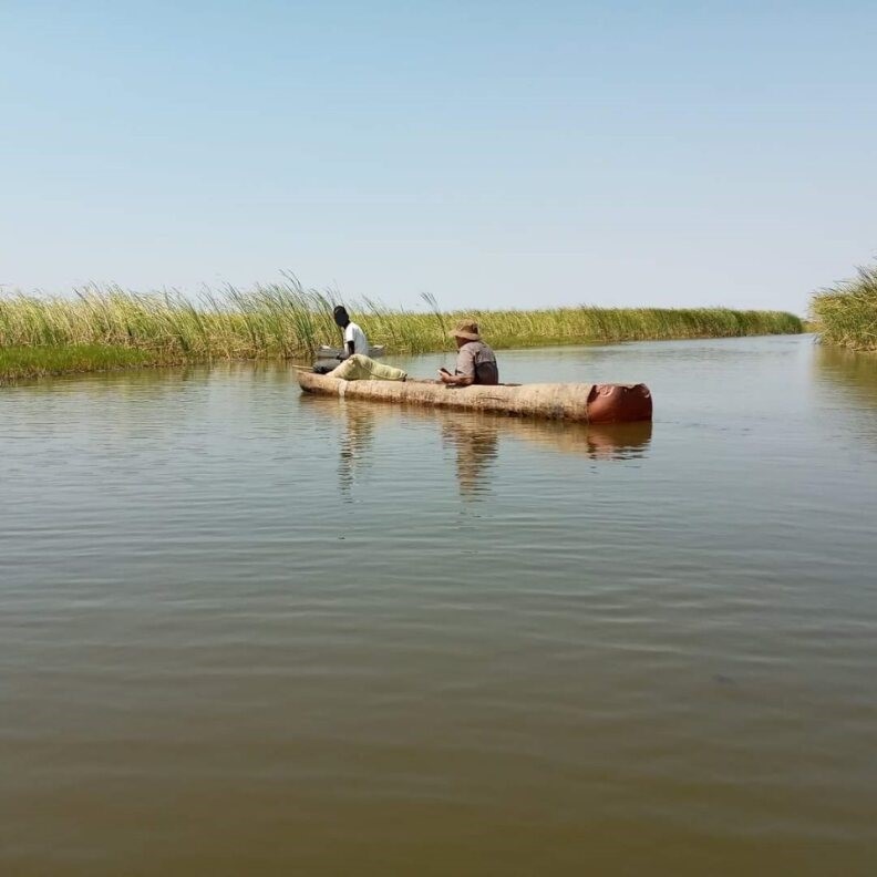 LLIN Distribution in South Sudan - IPA B.V.